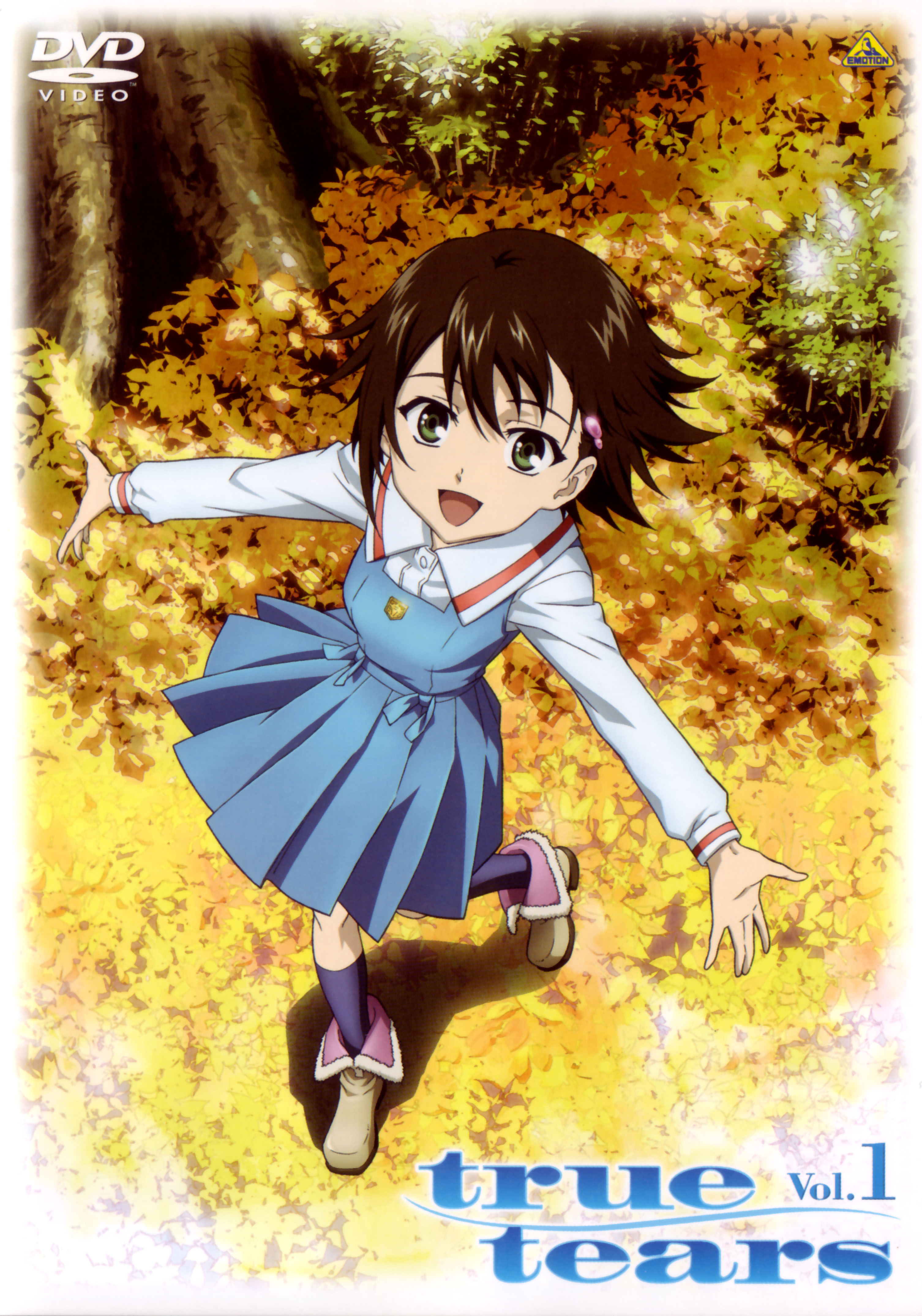 sekiguchi kanami true tears isurugi noe disc cover seifuku | #19620 | yande.re